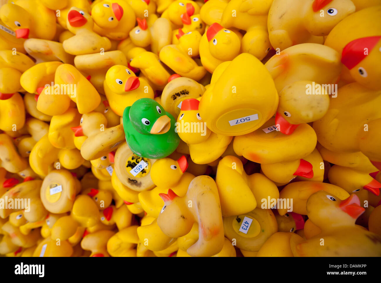 Yellow rubber ducks and a green duck are piled up at the rehabilitation ...