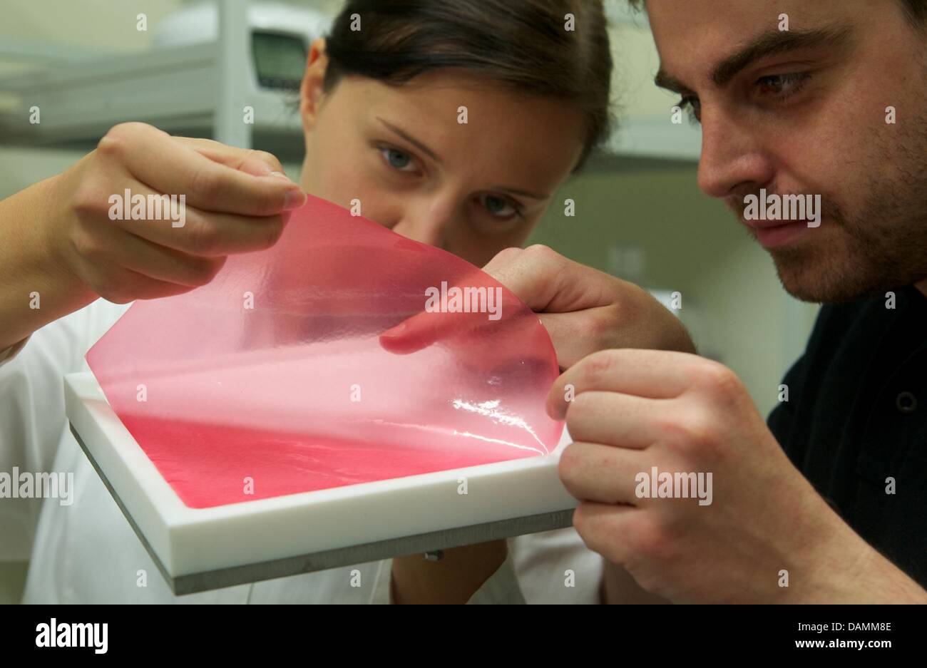 A newly invented biodegradable foil is presented by the head of the ...
