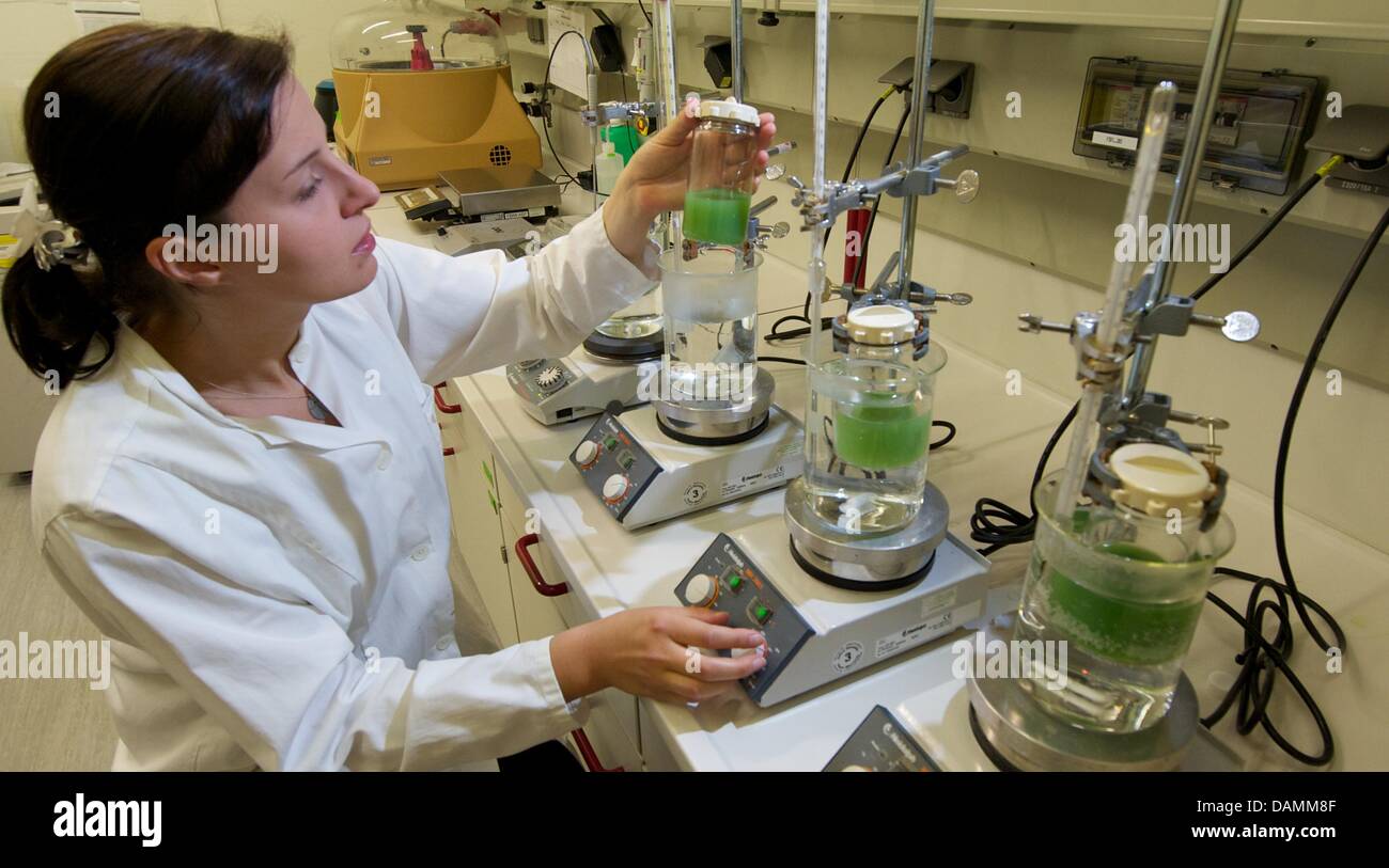 A newly invented biodegradable foil is produced in the laboratory of ...