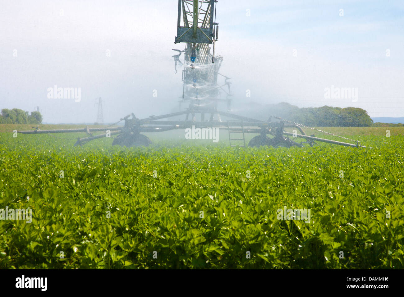 Pivot applicator sprinkler hi-res stock photography and images - Alamy
