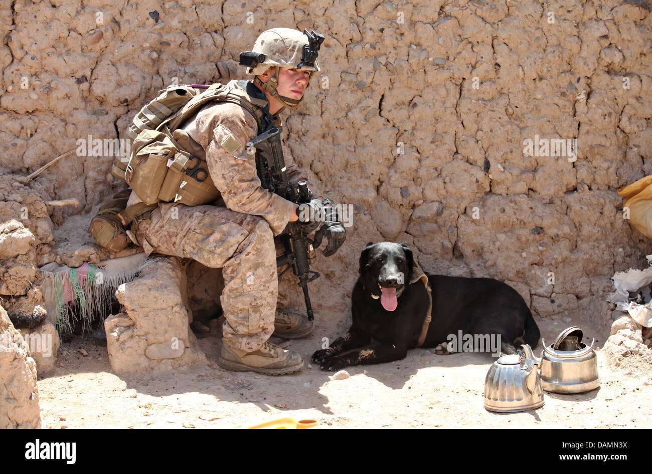 US Marine Lance Cpl. Joshua Allen rests with his dog, Joe, during an ...