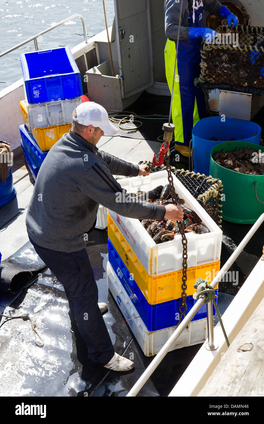 Boat Fishing Seahouses High Resolution Stock Photography and Images - Alamy