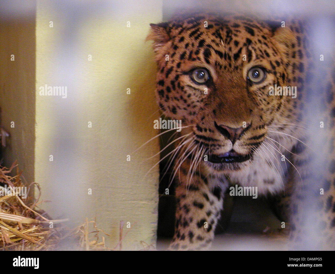 Lifespan 20 years hi-res stock photography and images - Alamy