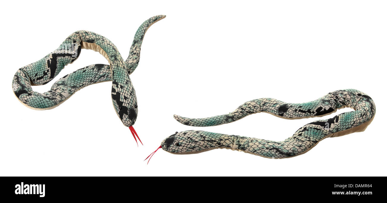 Poison snakes hi-res stock photography and images - Alamy