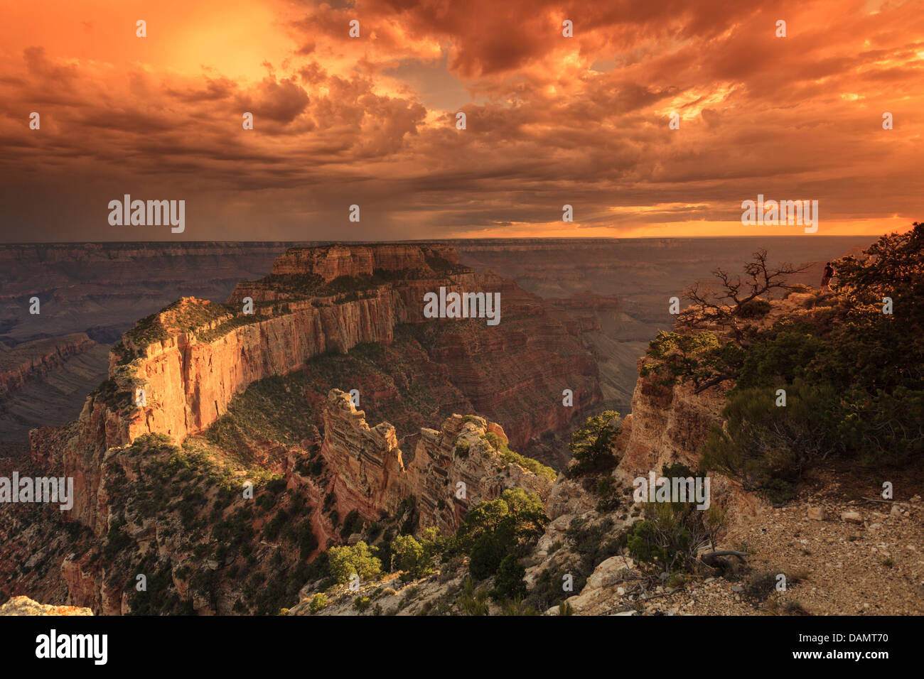 USA, Arizona, Grand Canyon National Park, North Rim, Cape Royale Stock ...