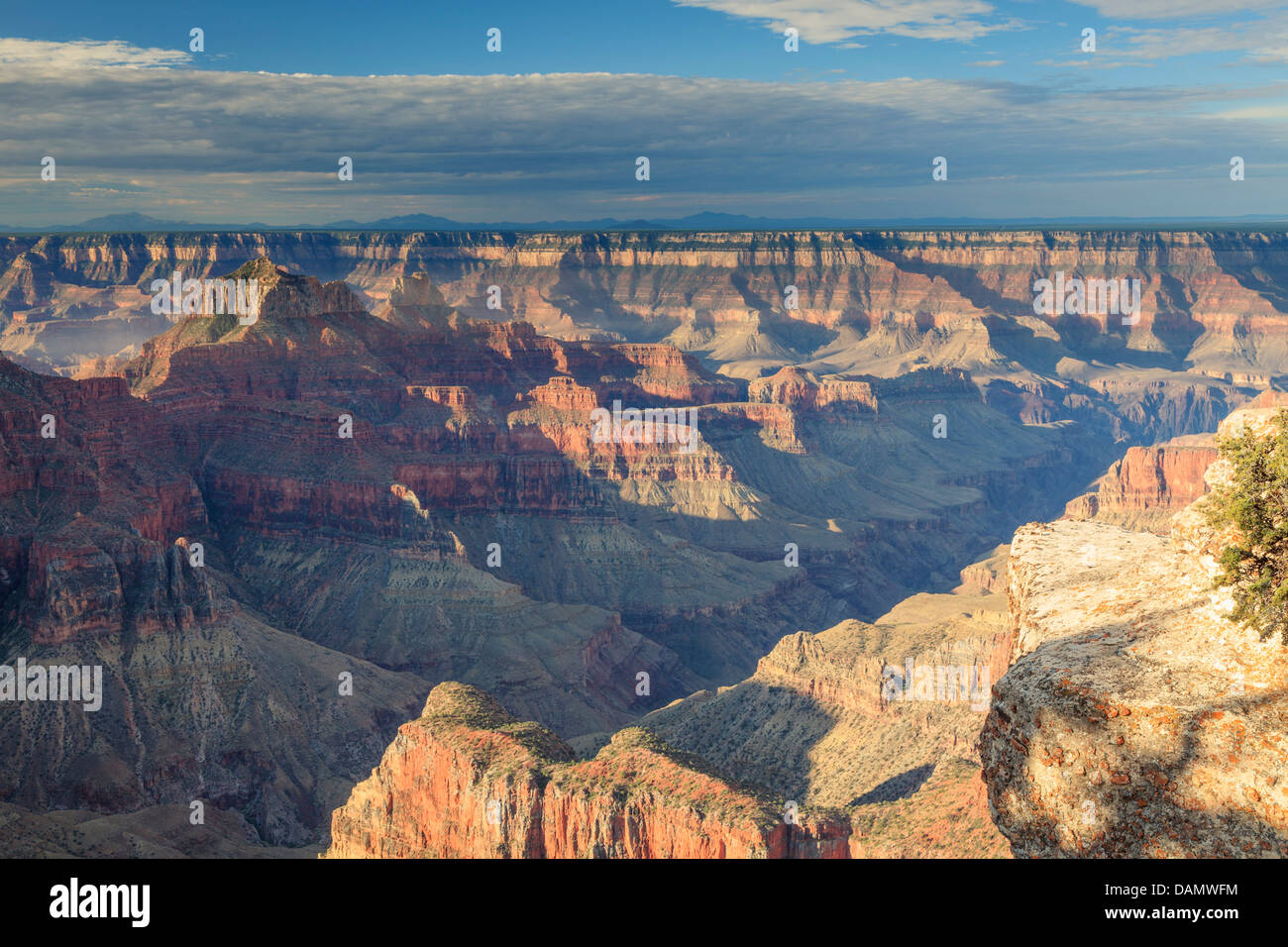 USA, Arizona, Grand Canyon National Park, North Rim, Bright Angel Point ...