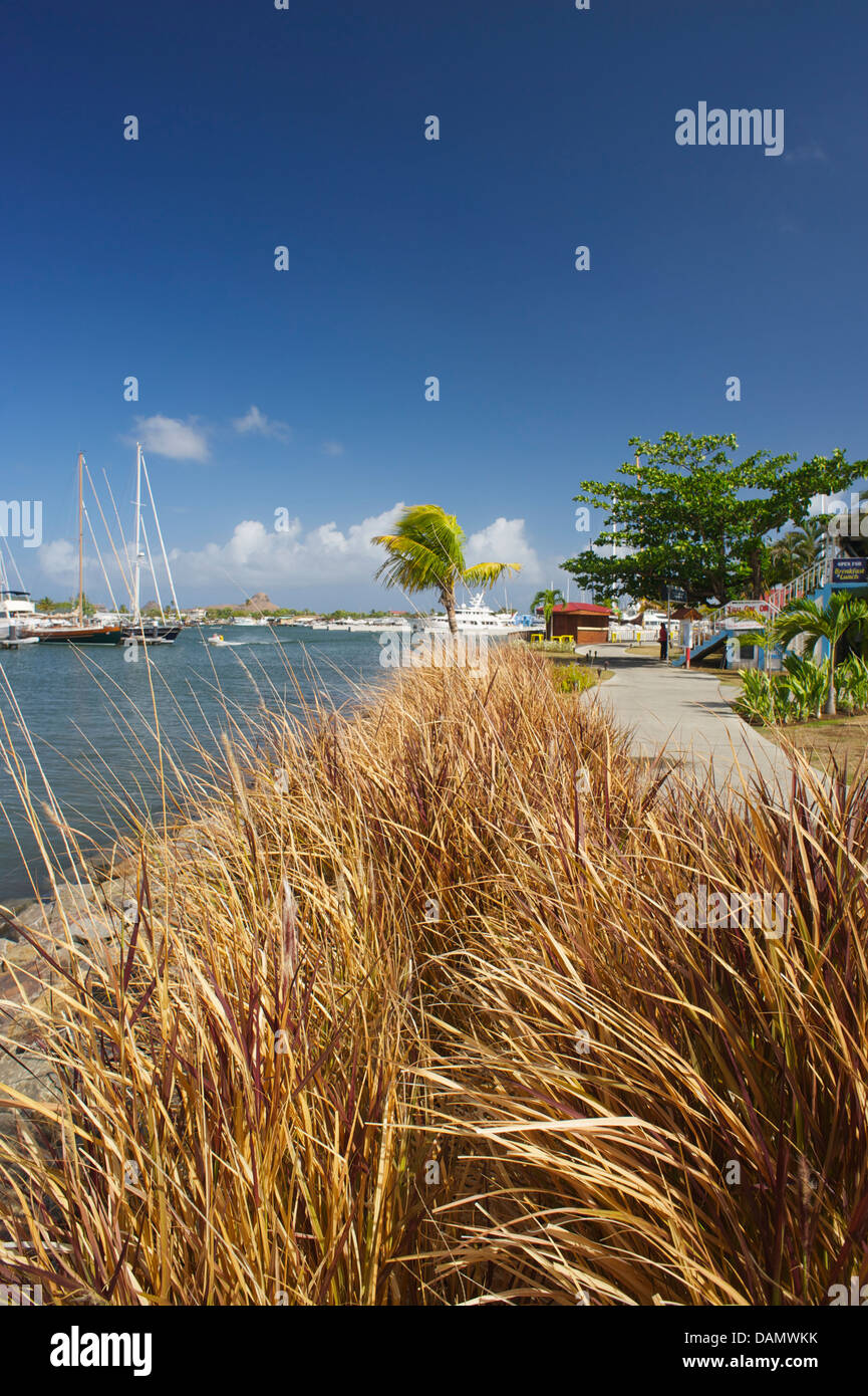 Caribbean scenes : St Lucia Stock Photo - Alamy