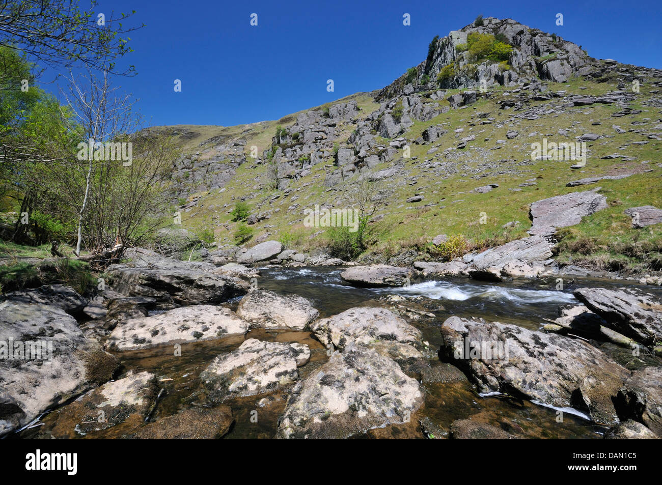 River Tywi, RSPB Dinas, Llandovery, Central Wales Stock Photo - Alamy