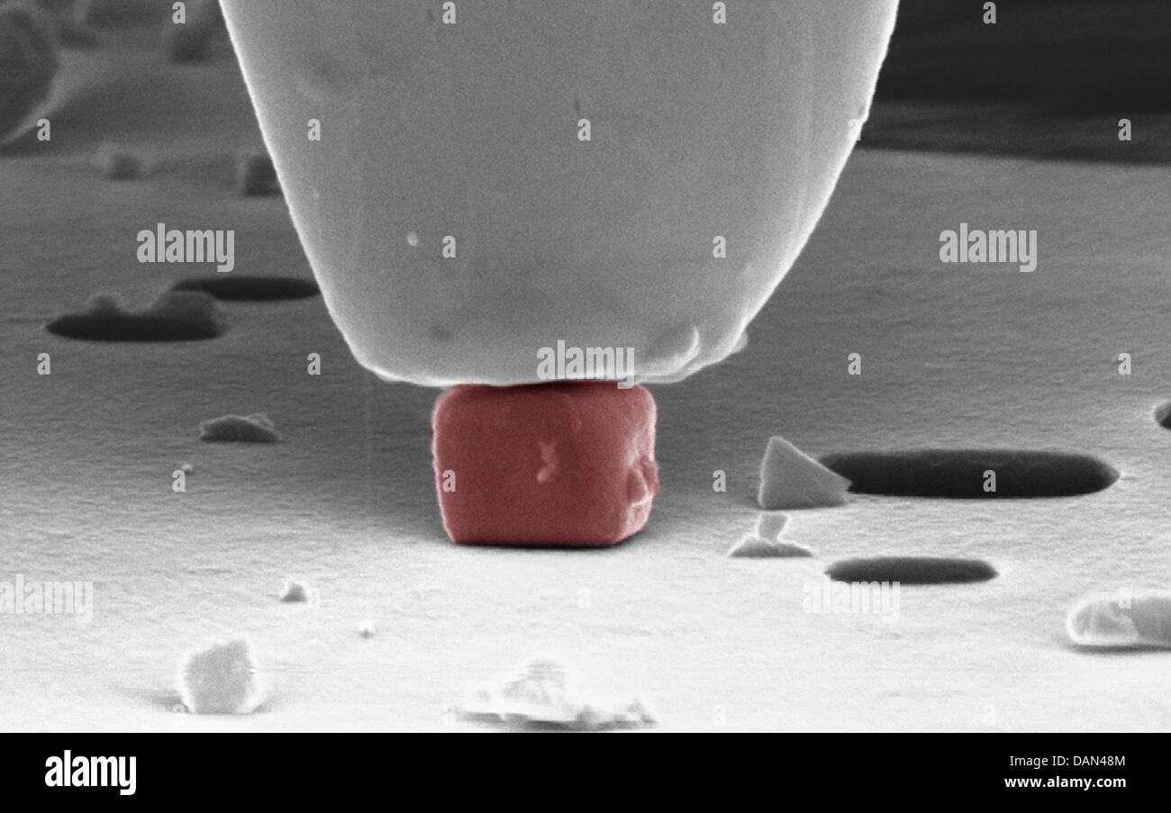 An undated handout file of the Braunschweig University of Technology ...