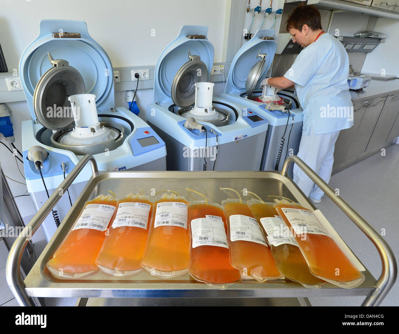 Nurse Karola Mueller prepares a centrifuge for blood plasma in the ...