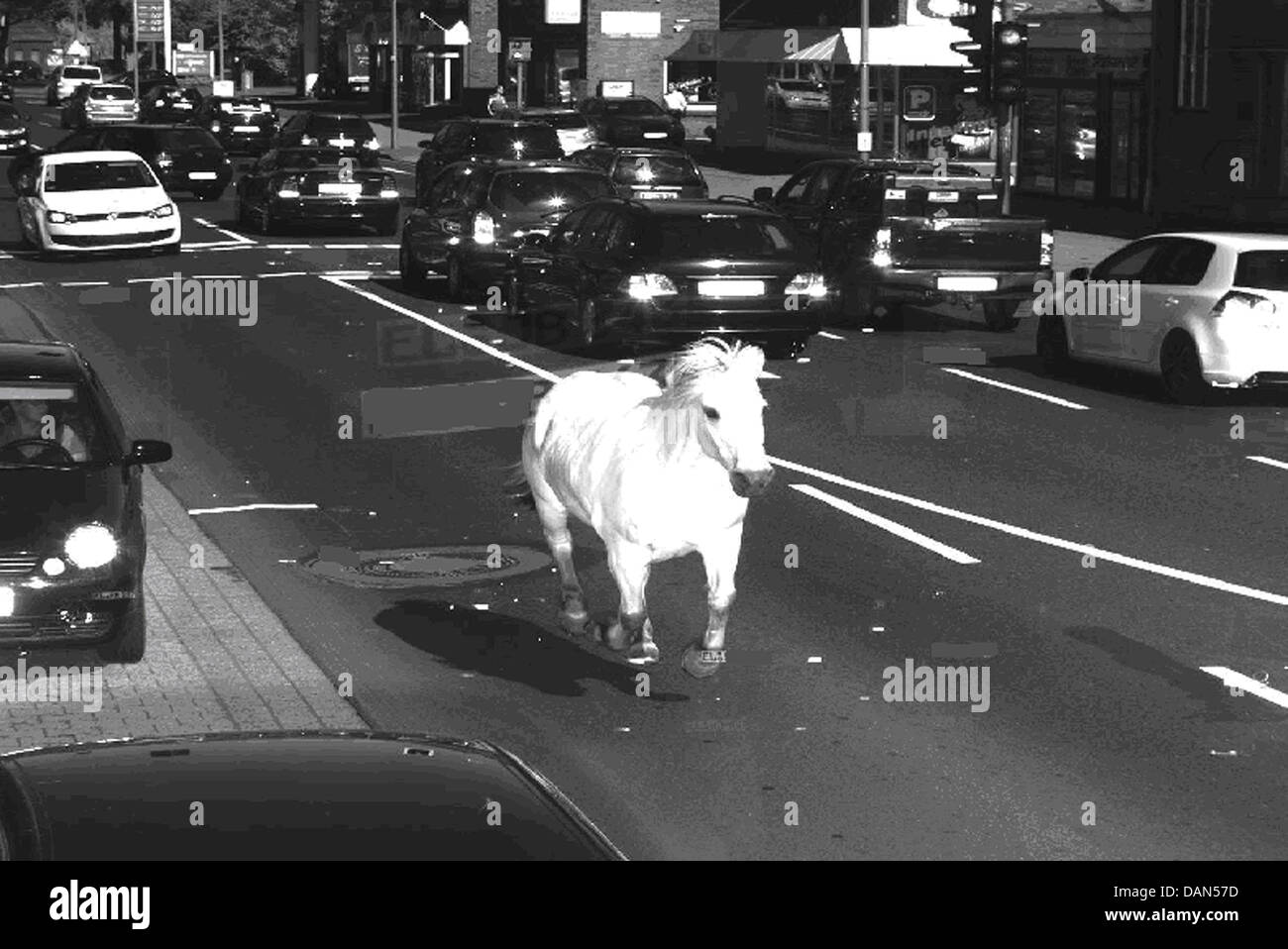 June 2011 Black and White Stock Photos & Images - Alamy