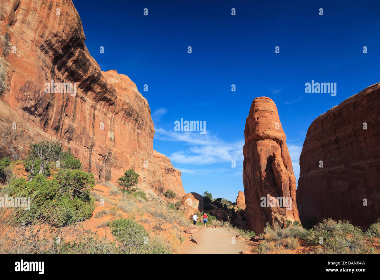 USA, Utah, Moab, Arches National Park, Devil's Garden Trail Stock Photo ...