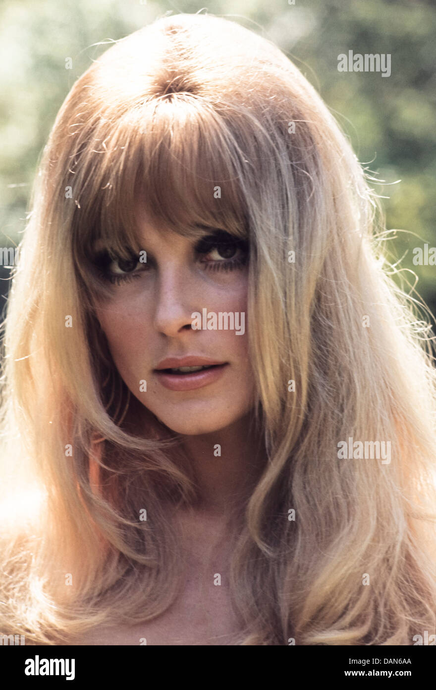 Sharon tate hi-res stock photography and images - Alamy
