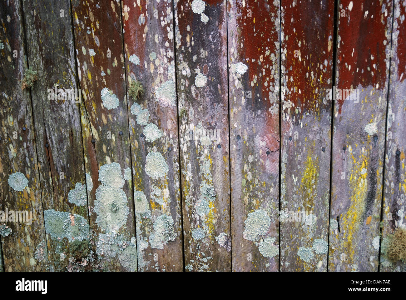 Decayed timber frame hi-res stock photography and images - Alamy
