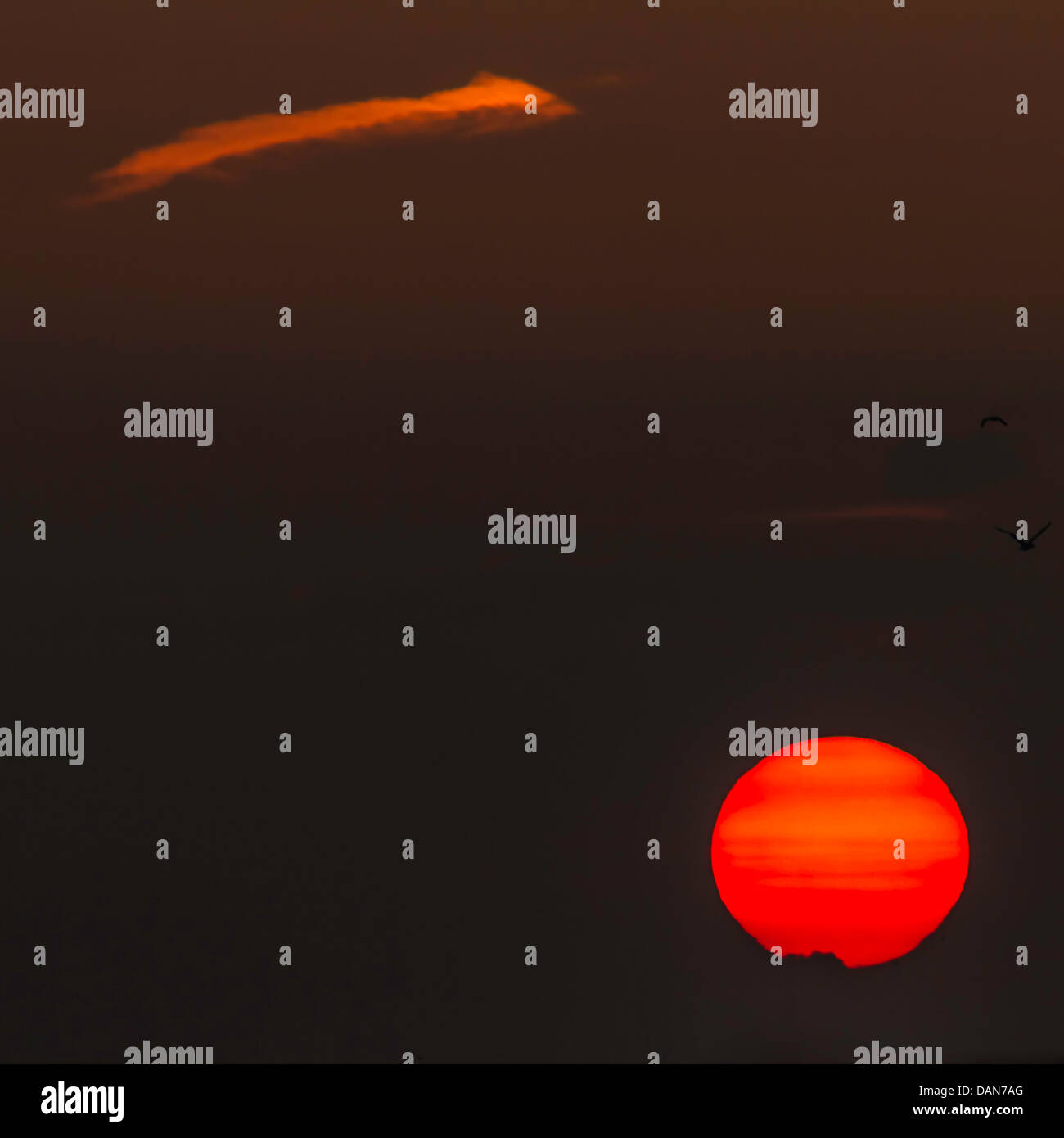 Burning orange hi-res stock photography and images - Alamy