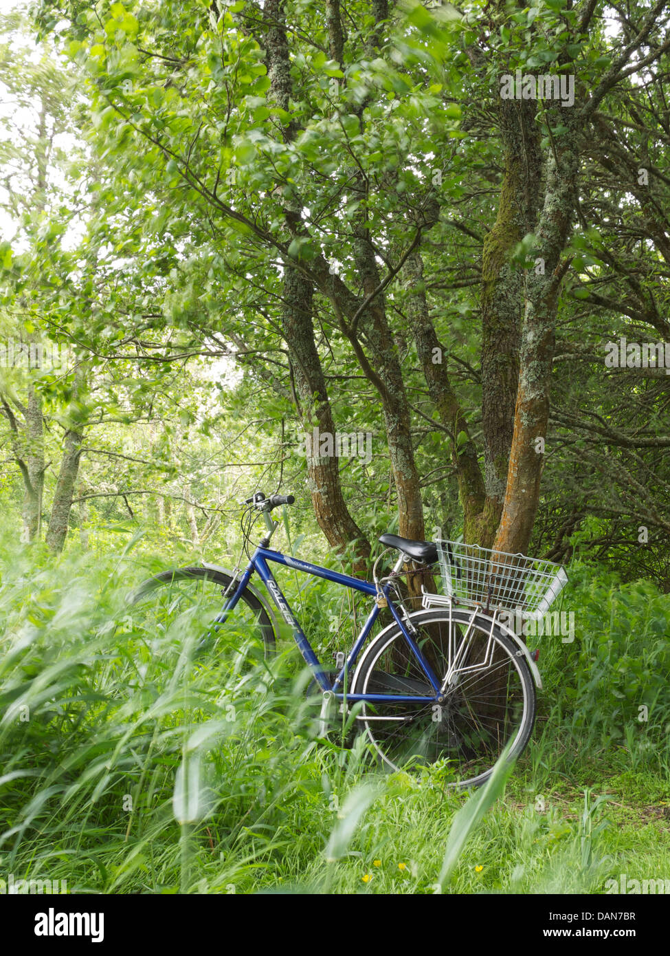 Traditional cycle hi-res stock photography and images - Alamy