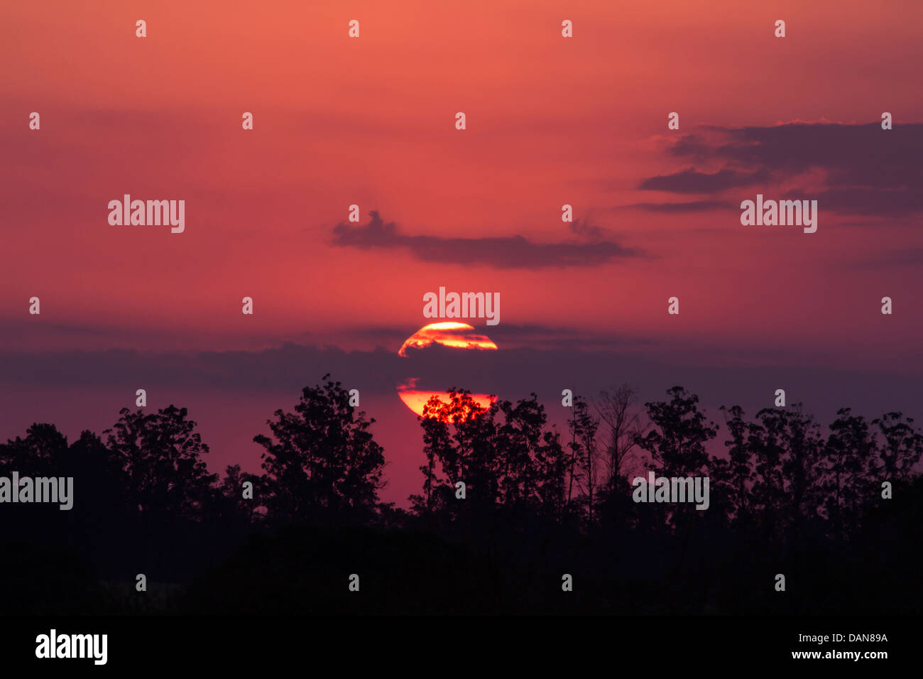 A beautiful red sunset behind silhouetted trees Stock Photo - Alamy
