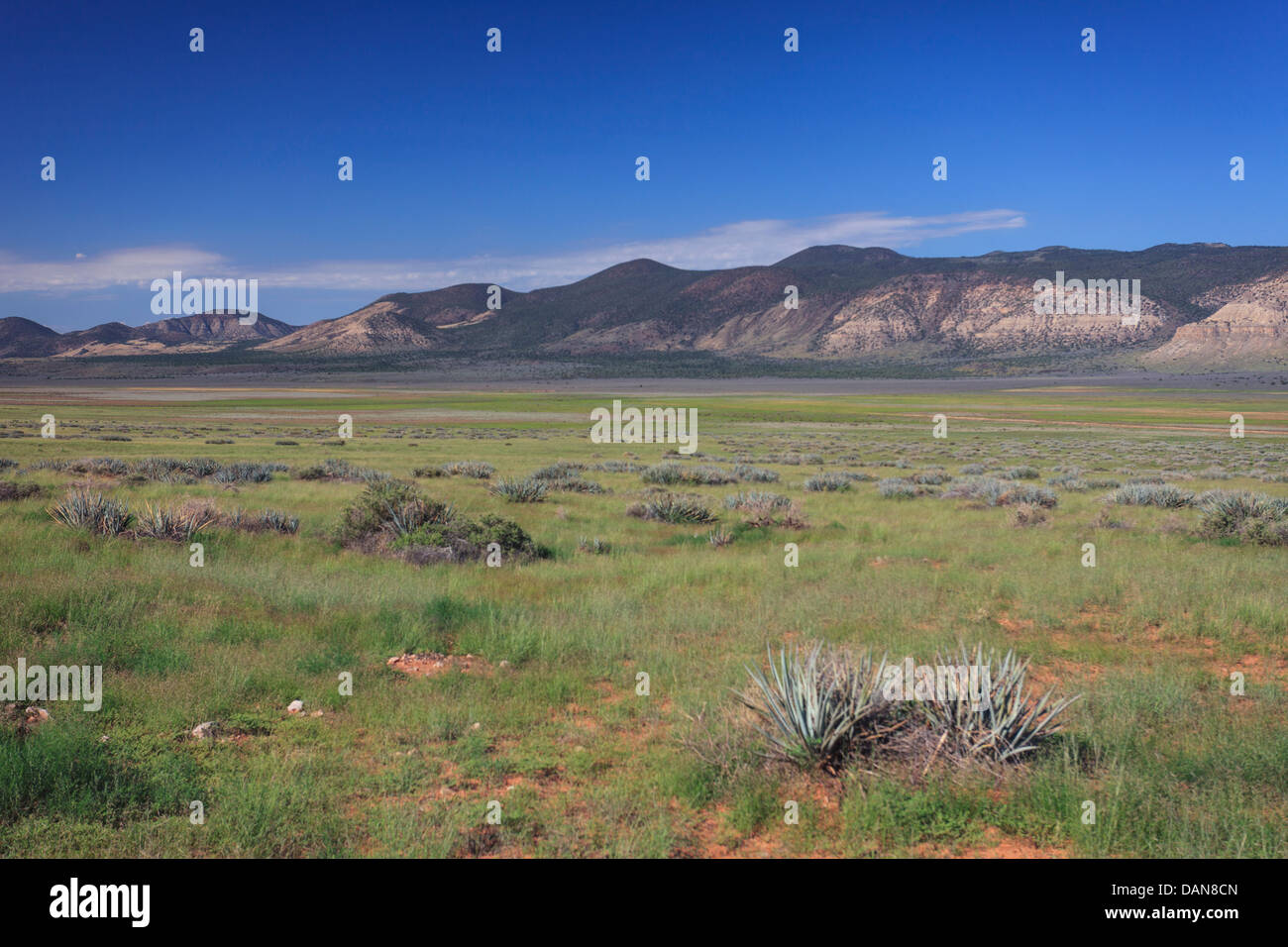 USA, Arizona, Grand Canyon Parashant National Monument (North Rim Stock ...