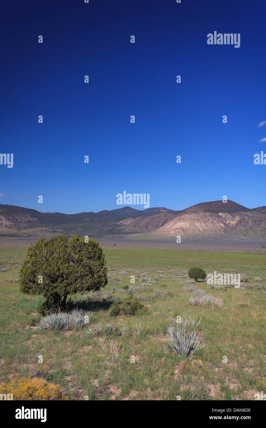 USA, Arizona, Grand Canyon Parashant National Monument (North Rim Stock ...