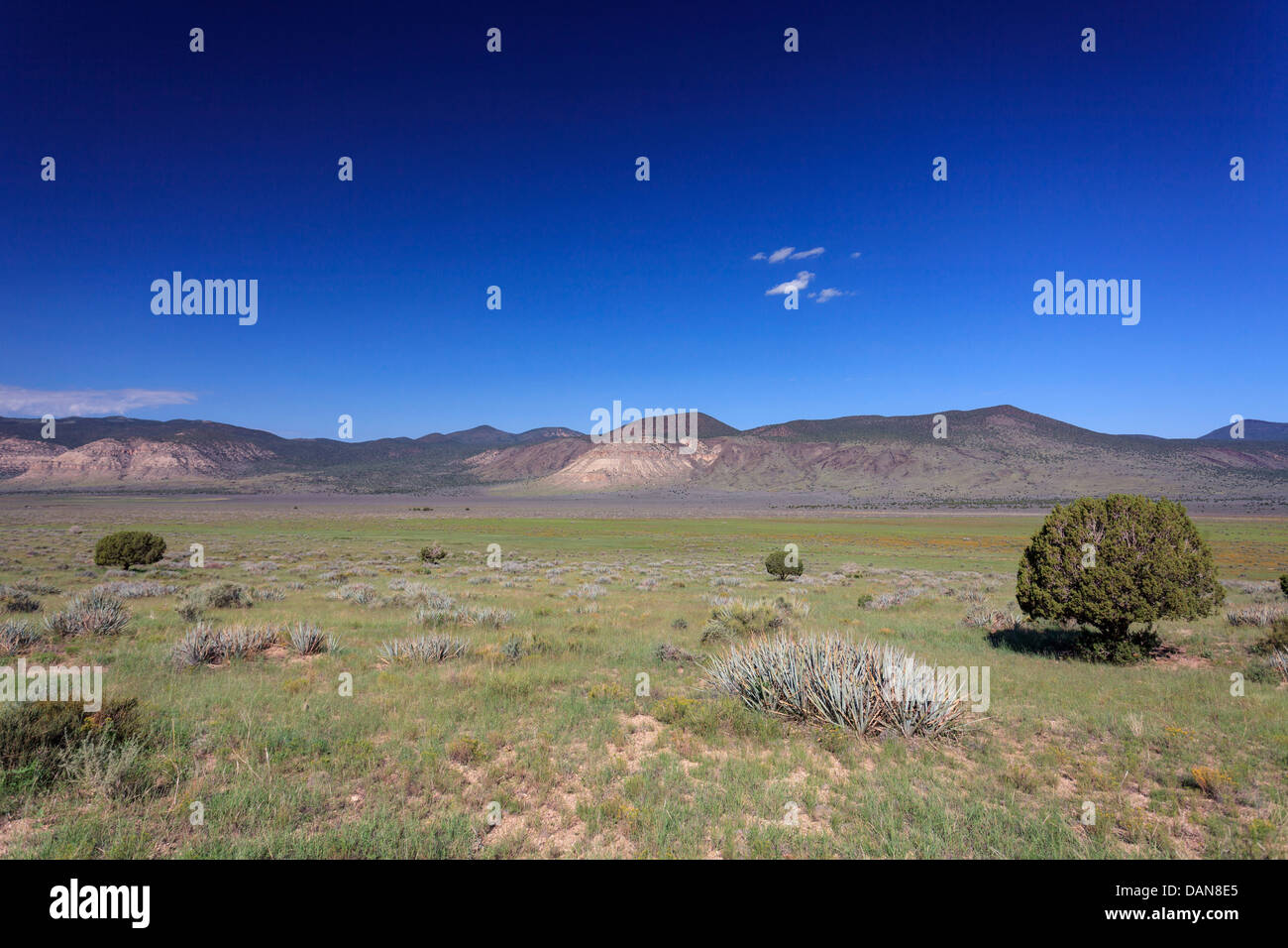 USA, Arizona, Grand Canyon Parashant National Monument (North Rim Stock ...