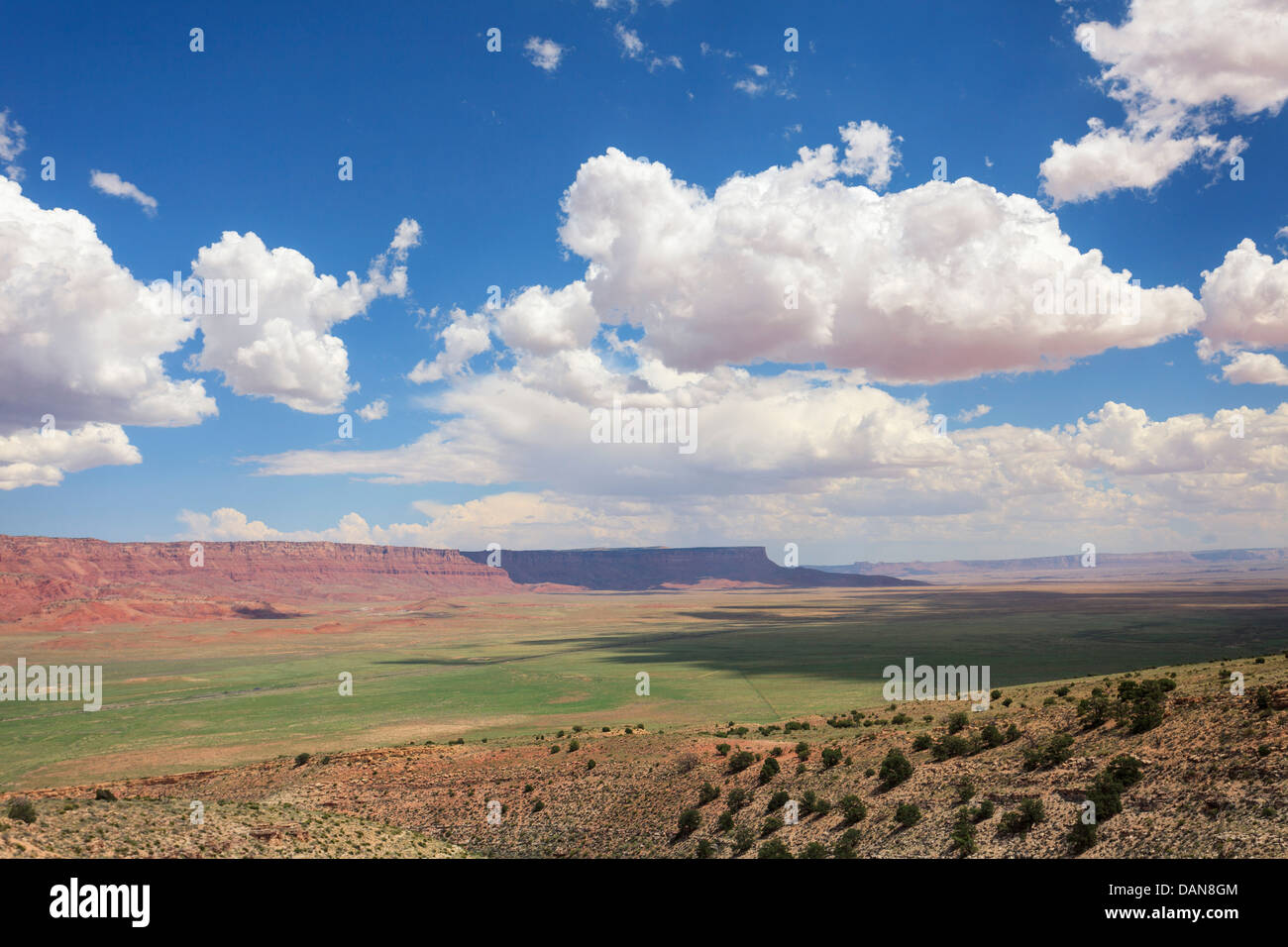 USA, Arizona, Grand Canyon Parashant National Monument (North Rim Stock ...