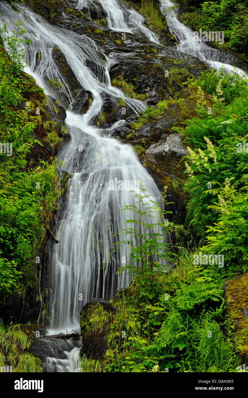 Mountain cascade with late spring runoff Prince Rupert British Columbia ...