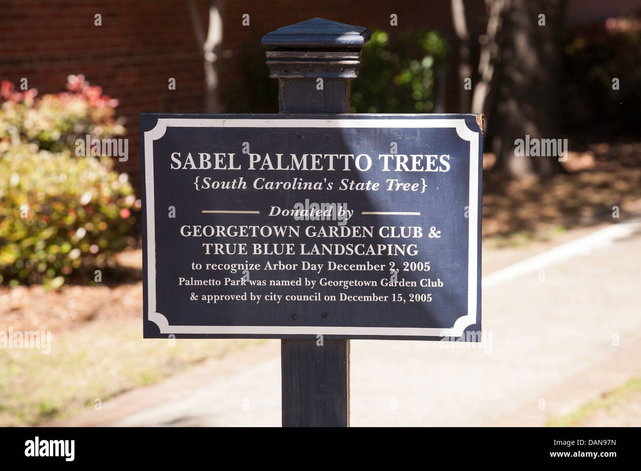 Historic Front Street Waterfront Area, Sabel Palmetto Trees Sign ...