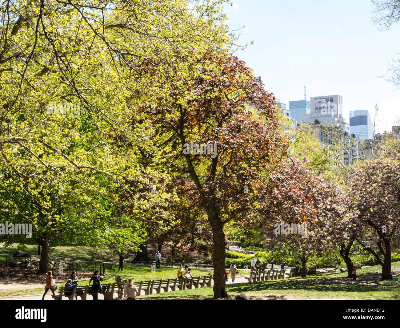 Walking Path in Central Park, New York City Stock Photo - Alamy