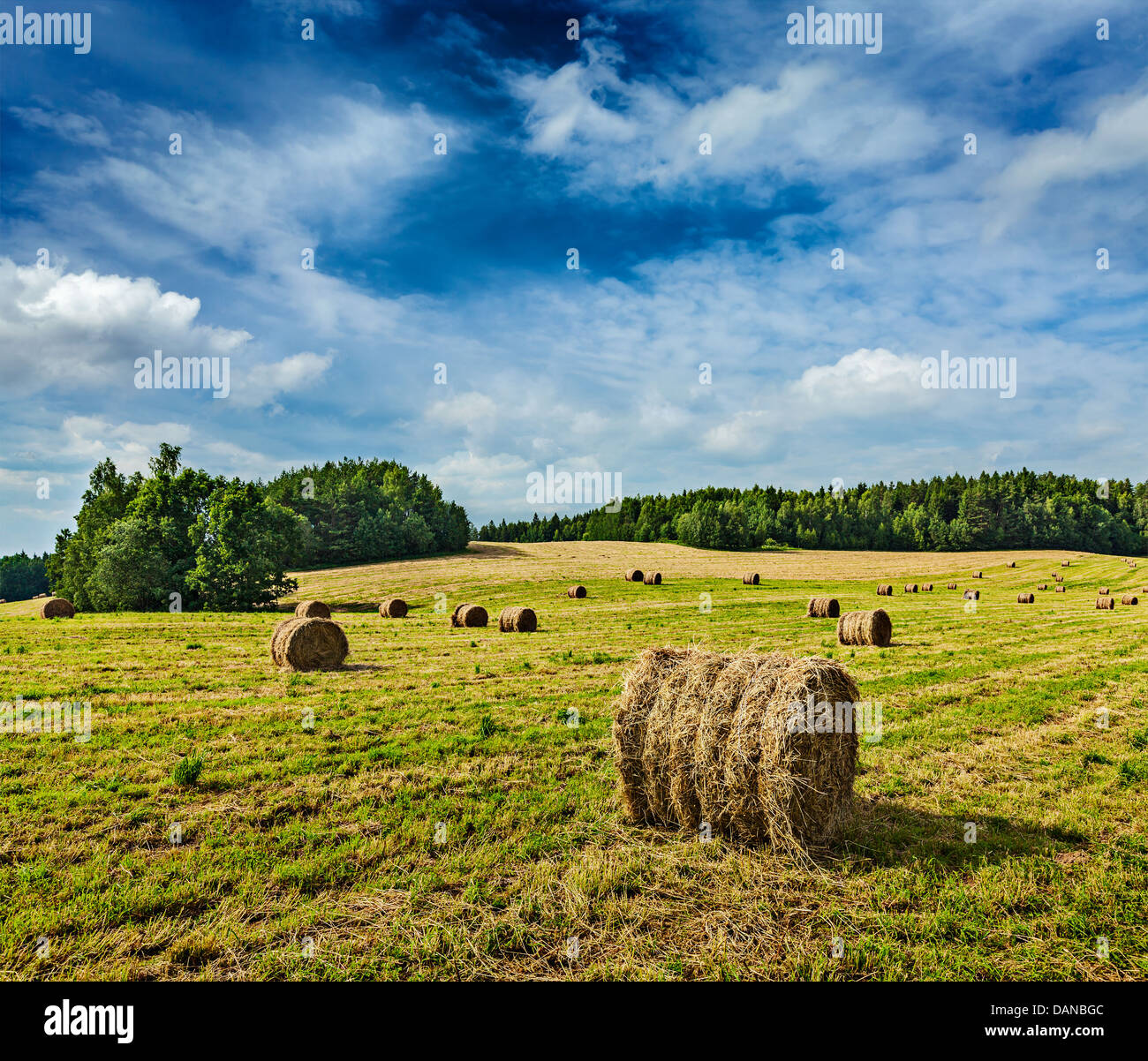 Background hay hi-res stock photography and images - Alamy