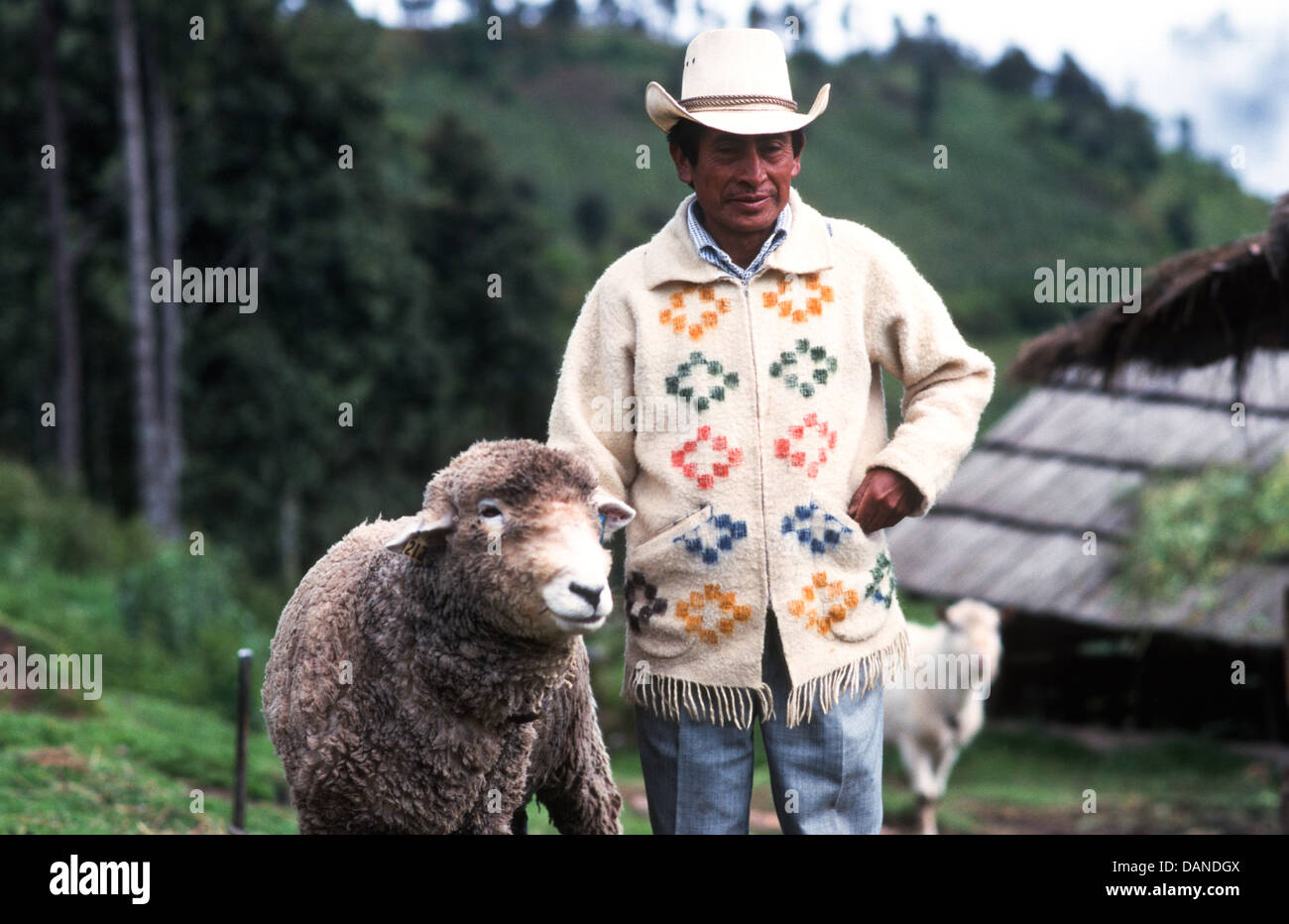 Mayan farmer in the Cuchumatanes Mountains of Guatemala with his ram ...