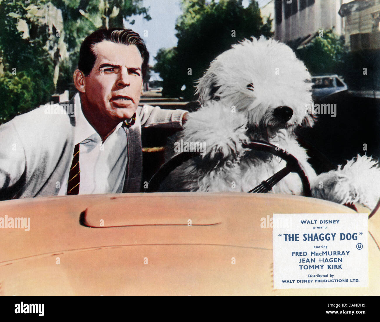 Fred macmurray family hi-res stock photography and images - Alamy