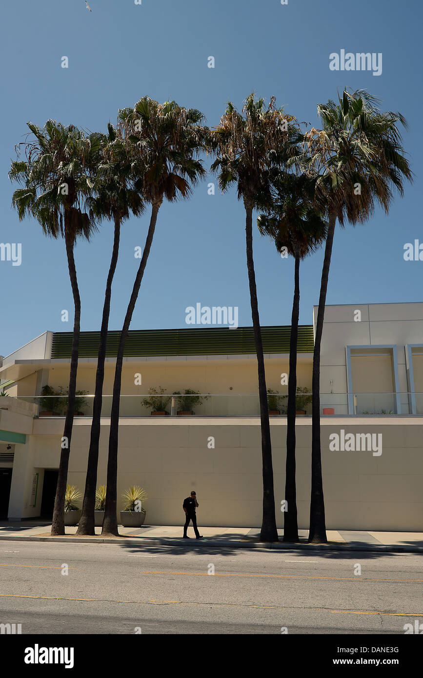 California palm trees man hi-res stock photography and images - Alamy