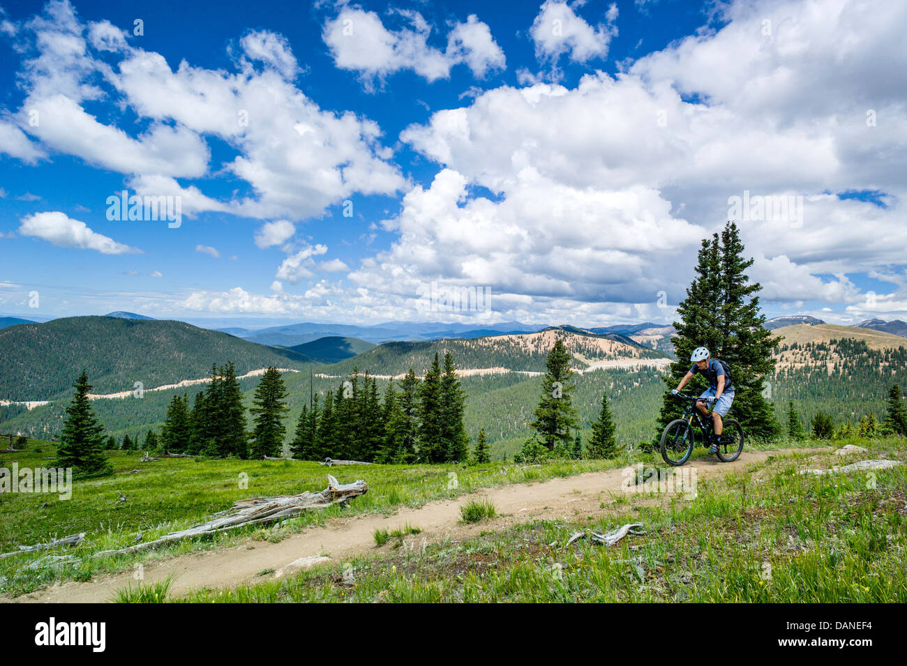 Mountain biker on the Monarch Crest Trail, Central Colorado, USA Stock ...