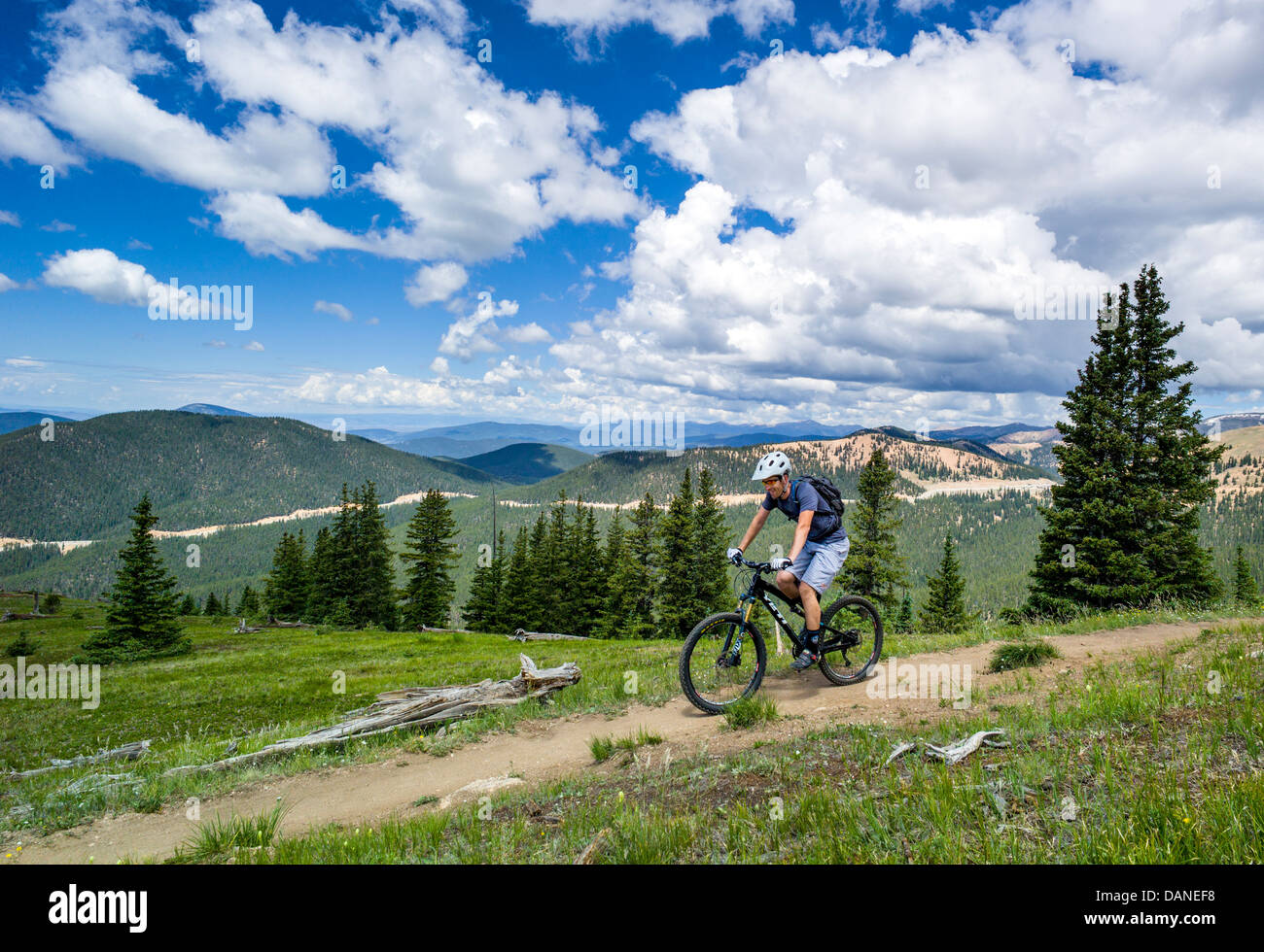 Mountain biker on the Monarch Crest Trail, Central Colorado, USA Stock ...