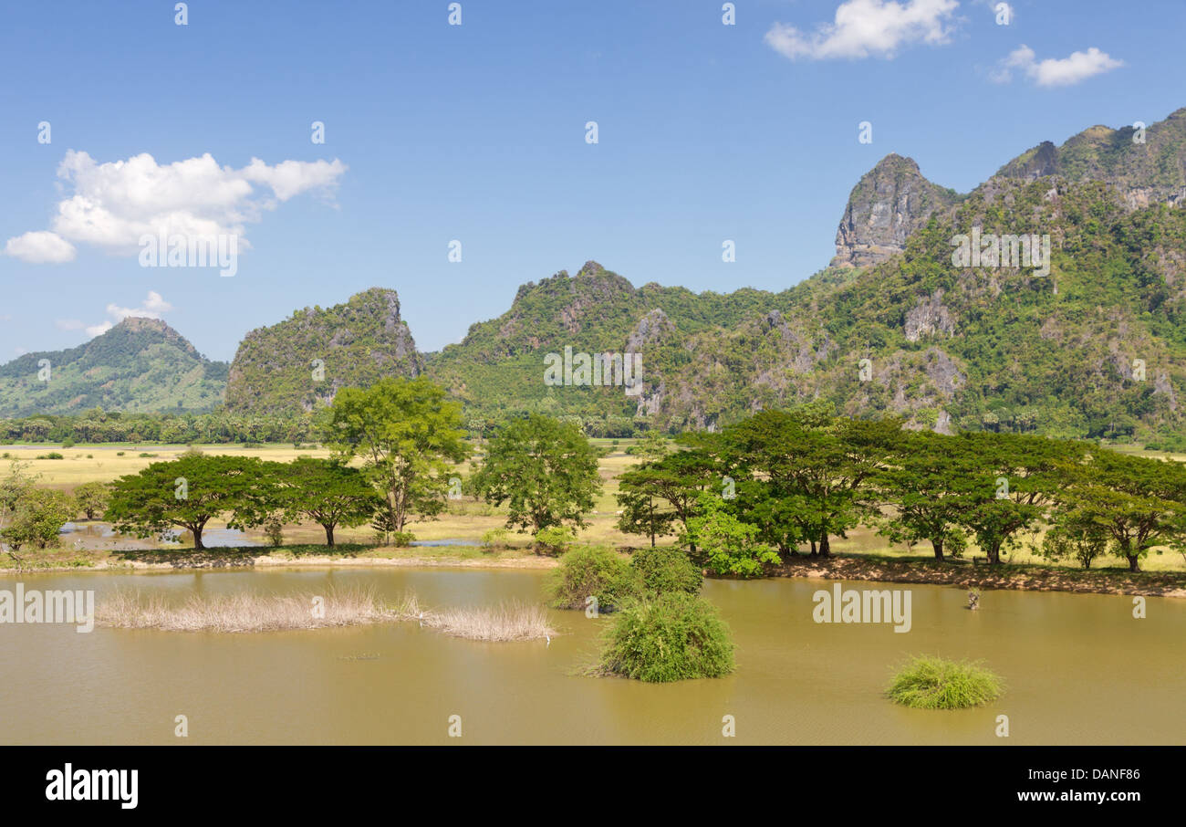 burmese countryside with water golden an flooded rice fields, trees and ...