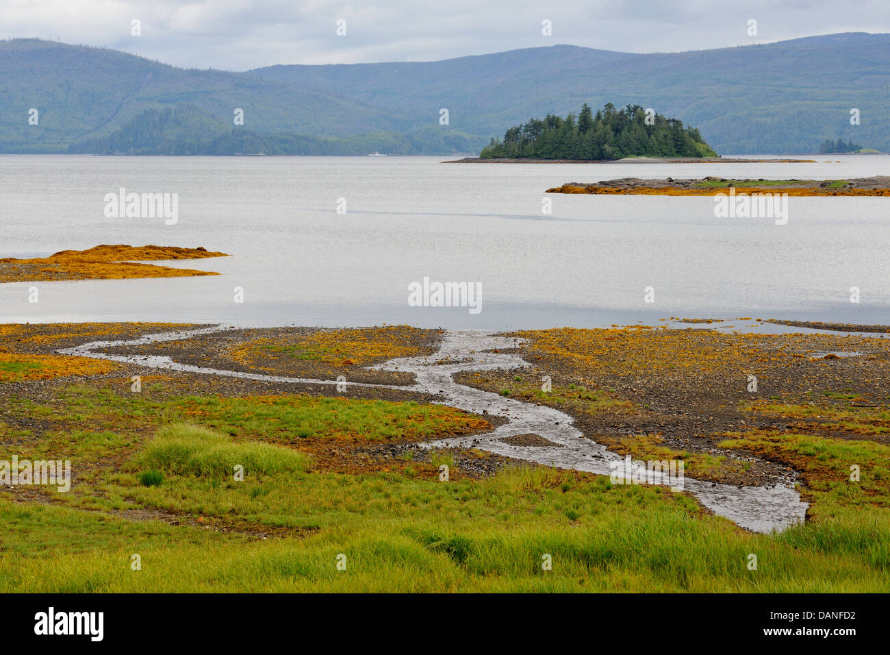 Skidegate Inlet at low tide Haida Gwaii Queen Charlotte City British ...