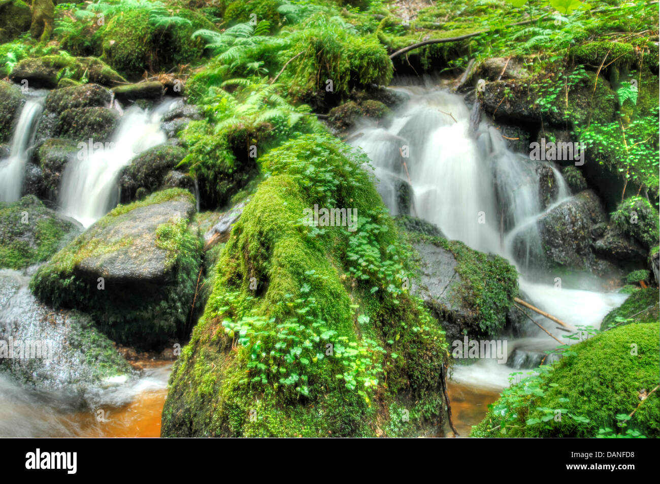 Waterfall in the Black Forest Stock Photo - Alamy