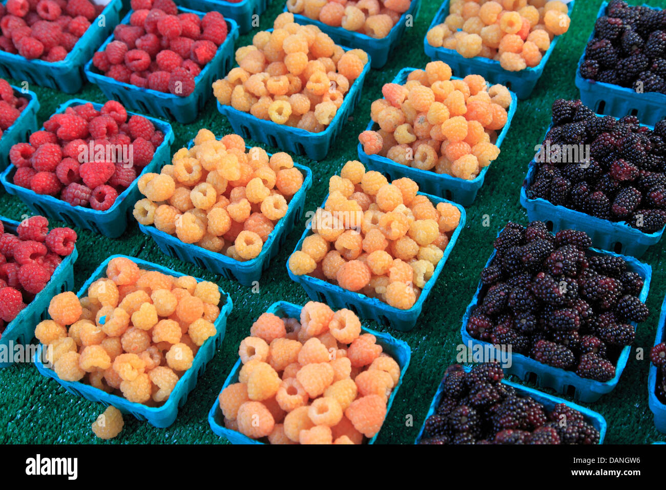 Canada, Ontario, Toronto, market, raspberries, blackberries Stock Photo ...