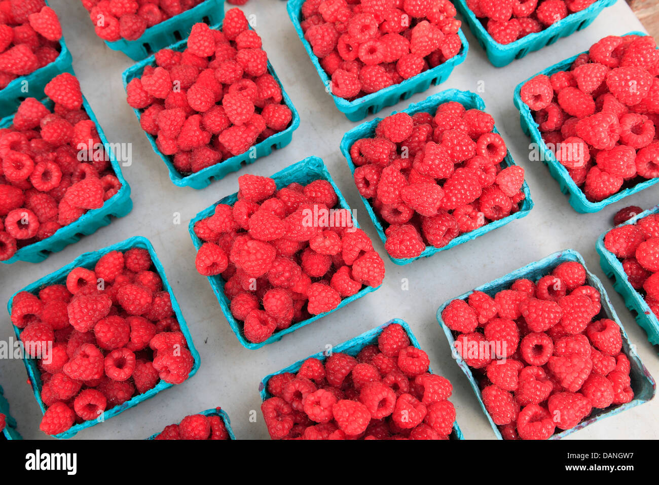Canada, Ontario, Toronto, market, raspberries Stock Photo - Alamy
