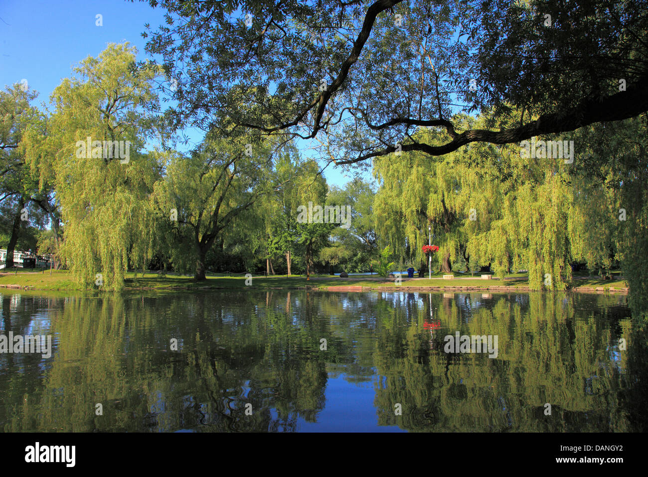 Toronto island park hi-res stock photography and images - Alamy