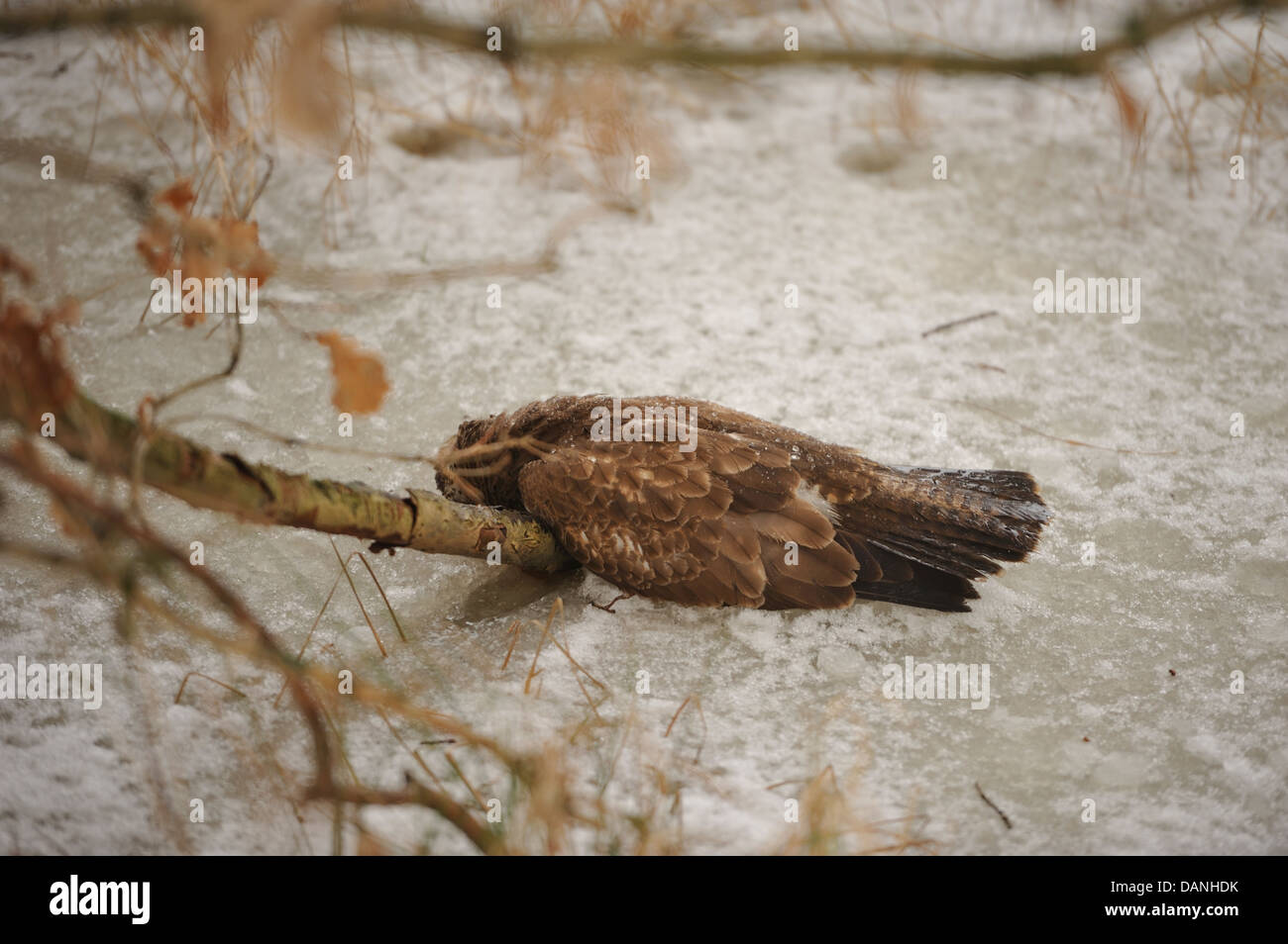 Promenade on dead sea hi-res stock photography and images - Alamy