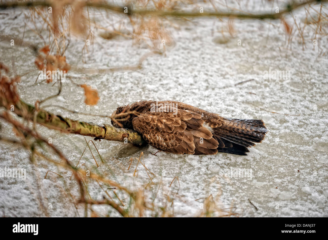 Promenade on dead sea hi-res stock photography and images - Alamy