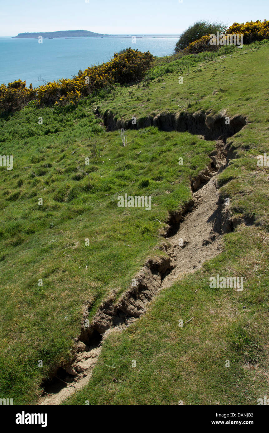 Cracks appear in a field above the cliffs at Osmington Mills. Part of ...