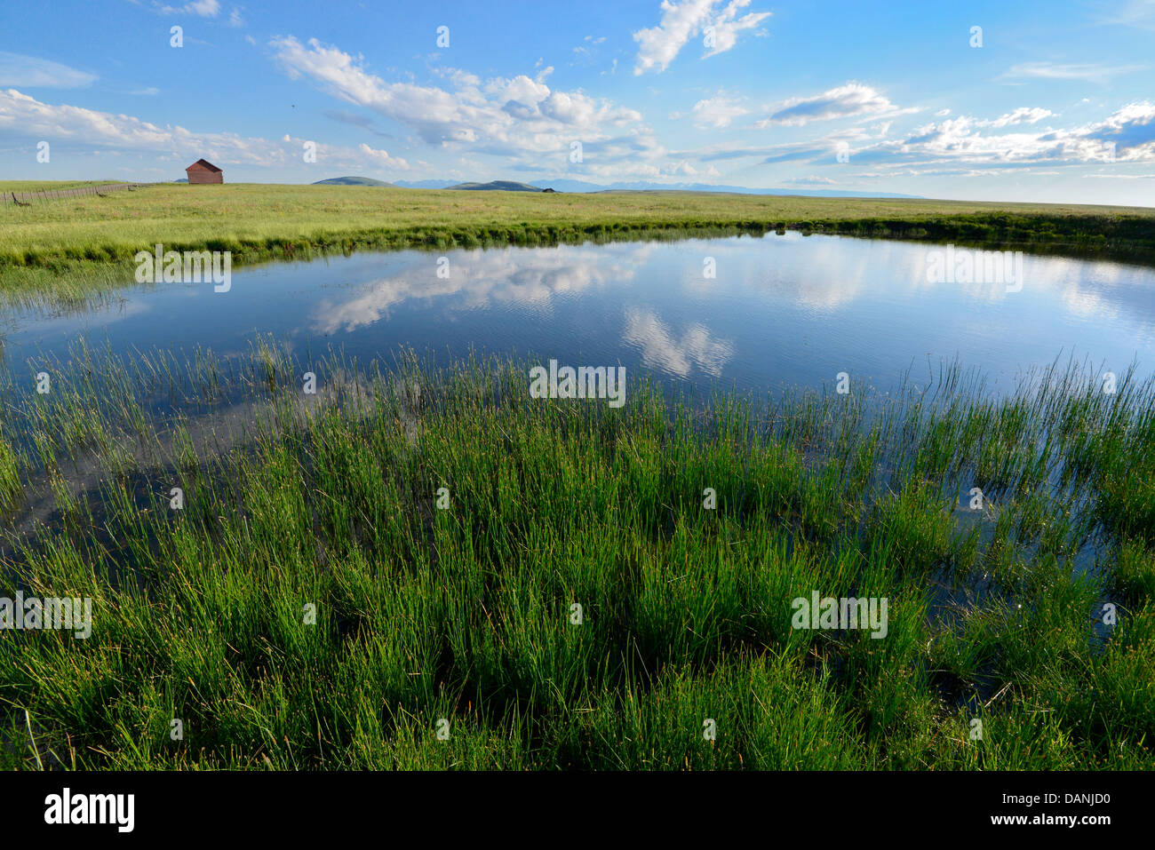 Pond and old building on the Zumwalt Prairie in Northeast Oregon Stock ...
