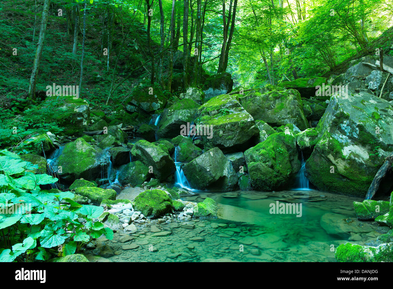 waterfall in the naturemovement, natural, stream Stock Photo - Alamy