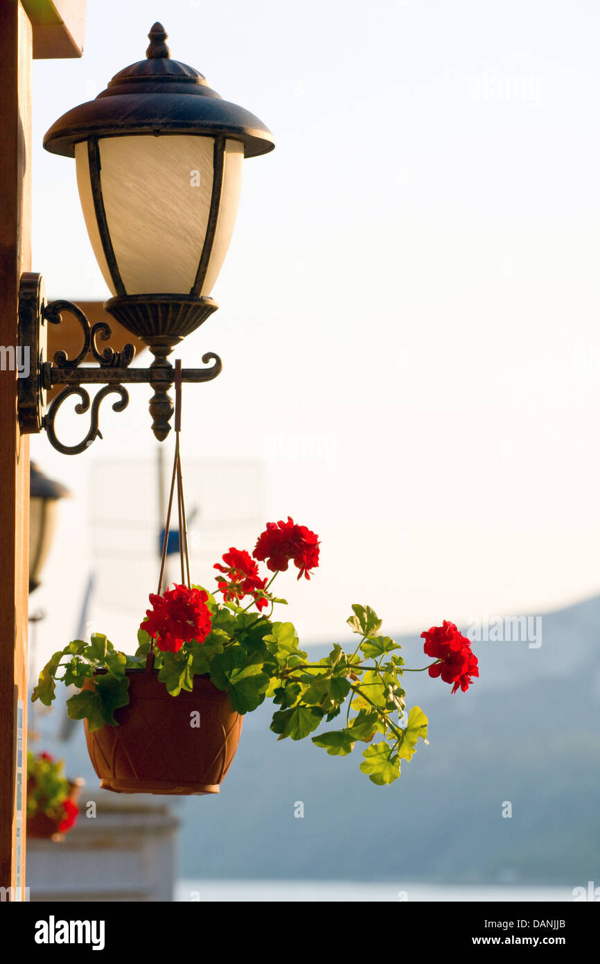 flower pot dangling from the roof Stock Photo - Alamy
