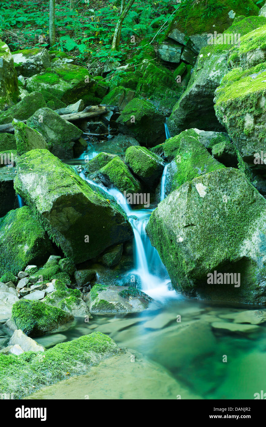 Rivers natural course hi-res stock photography and images - Alamy