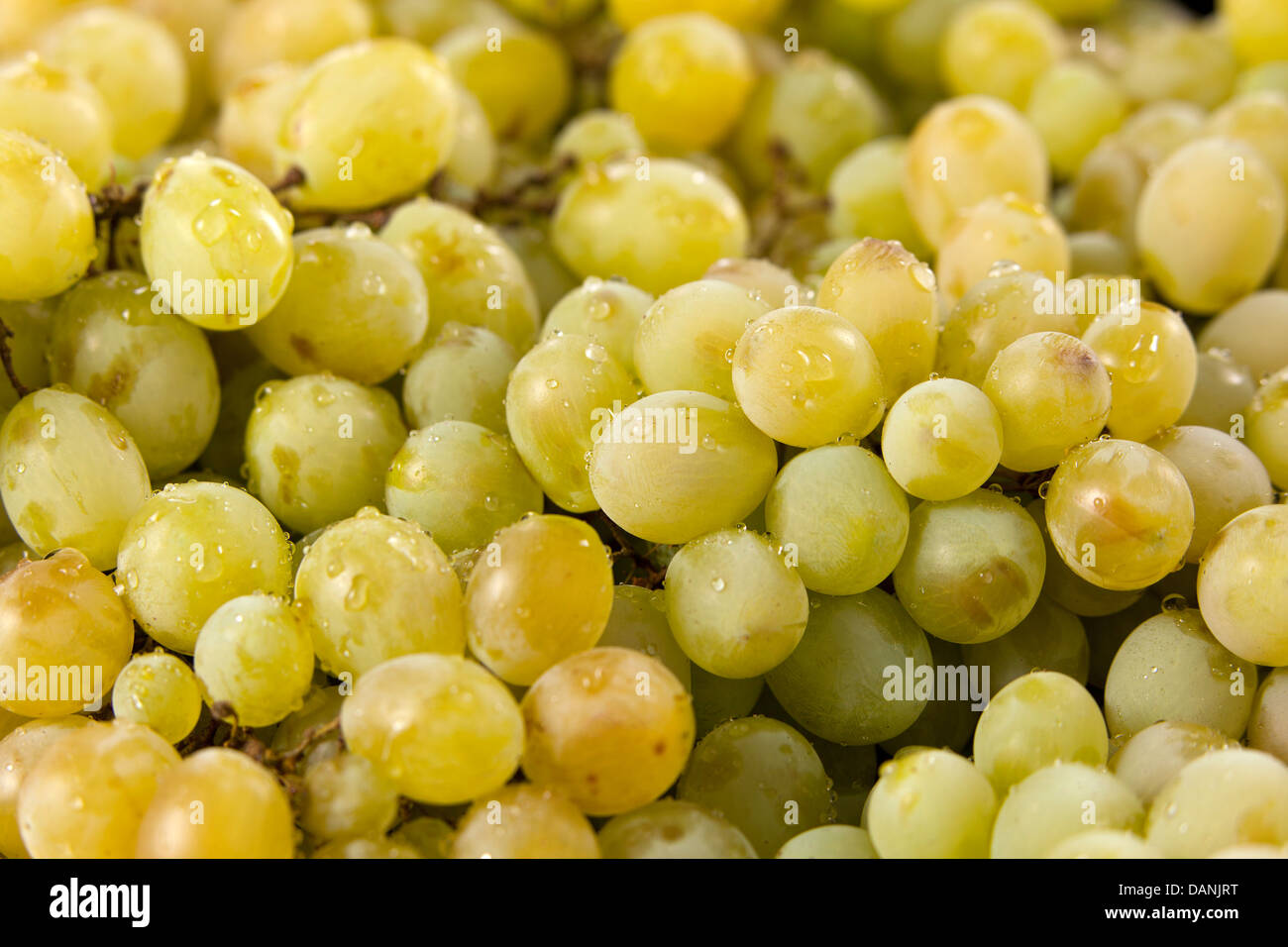 Background of freshly white grapes Stock Photo - Alamy