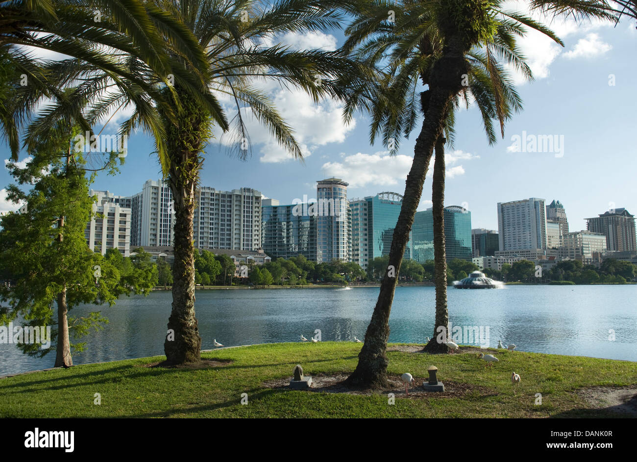 DOWNTOWN SKYLINE LAKE EOLA PARK ORLANDO FLORIDA USA Stock Photo - Alamy