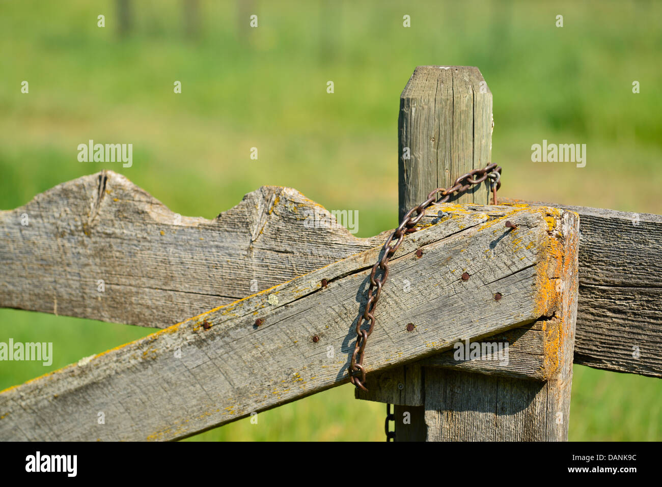 Farm gate chain hi-res stock photography and images - Alamy